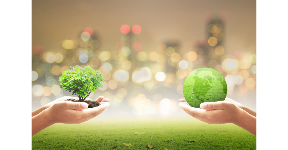 SOCIETY & ENVIRONMENT | CCI France Taiwan